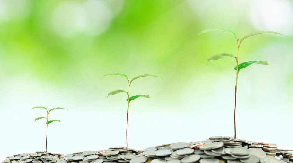 NZVIF raises investment cap of seed-stage vehicle