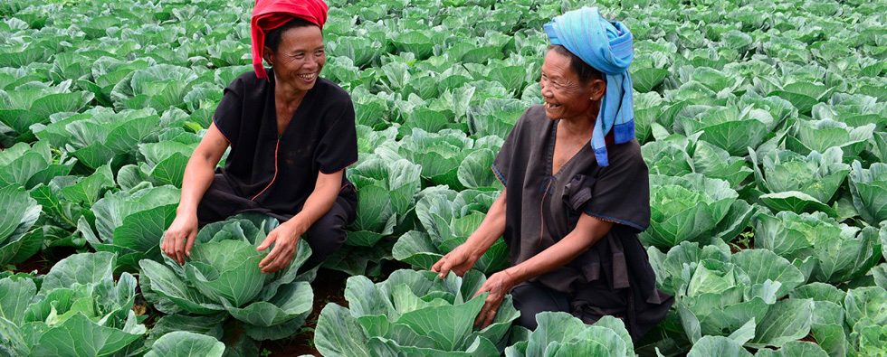 IFC extends $10m financing to Myanma Awba