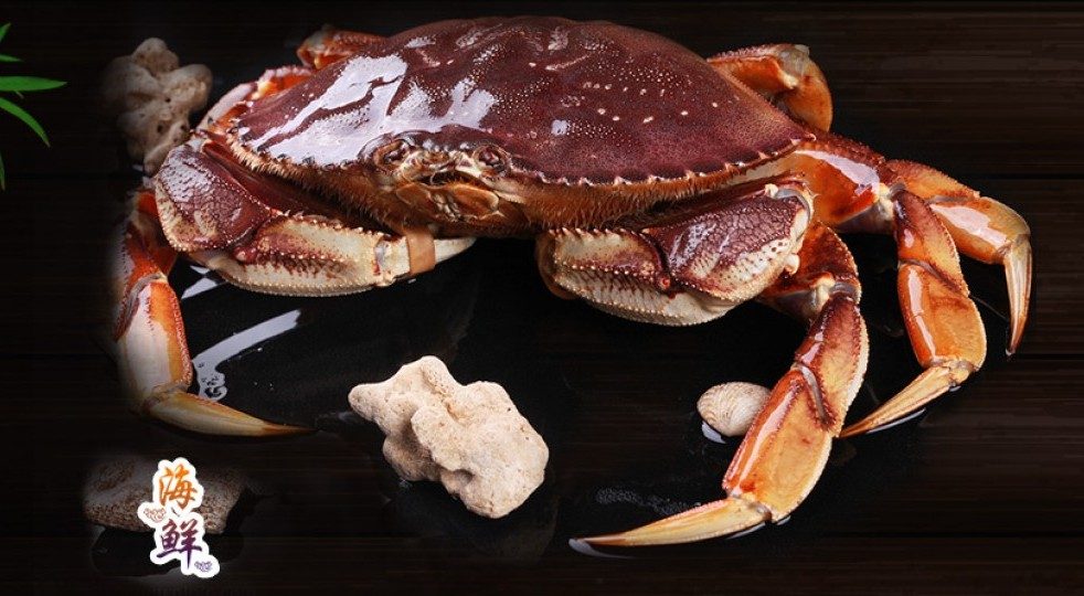 Alibaba, Legend Capital invest $20m in seafood marketplace Gfresh