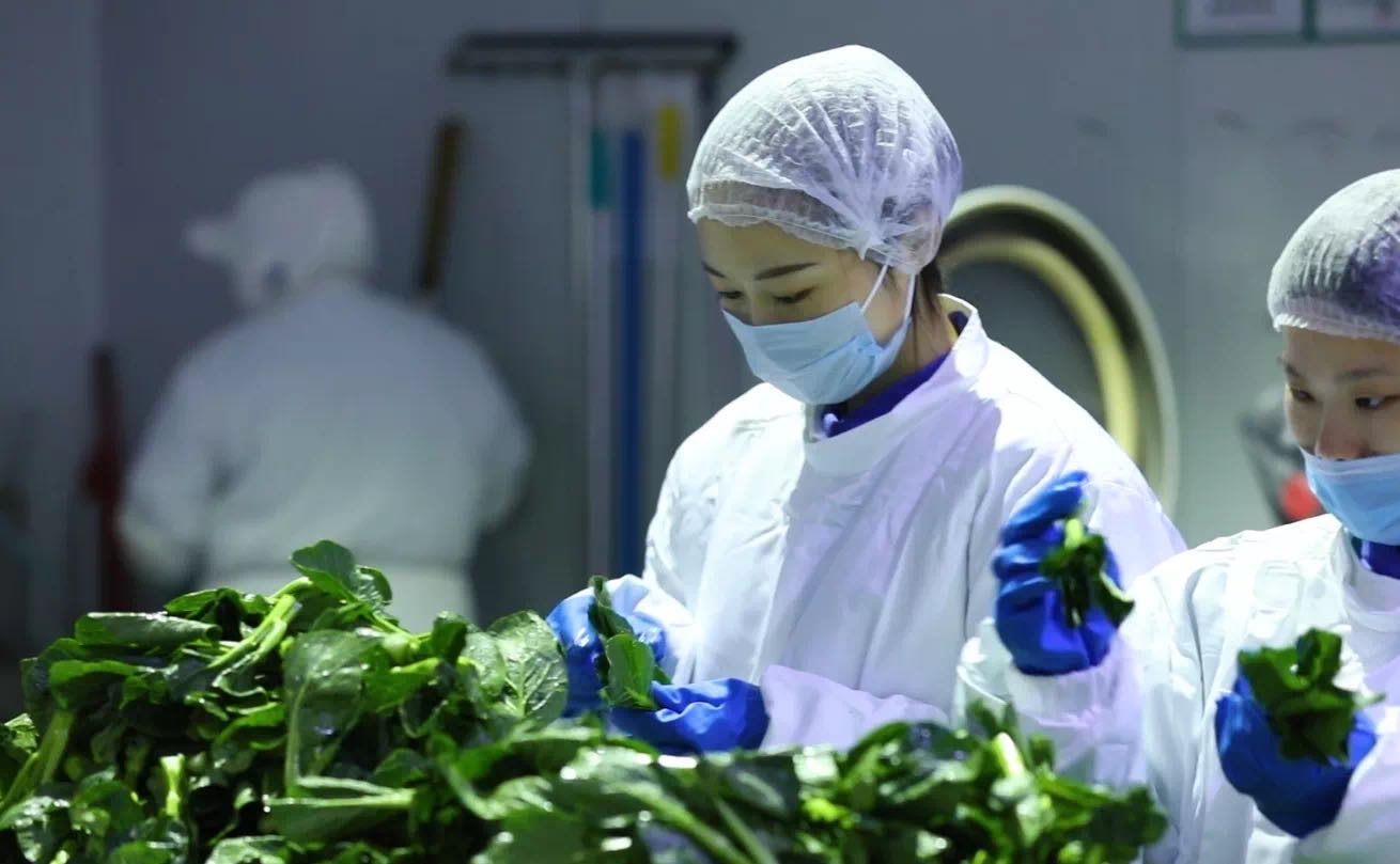 Chinese food platform Lehe Food snags $56m in Series C round