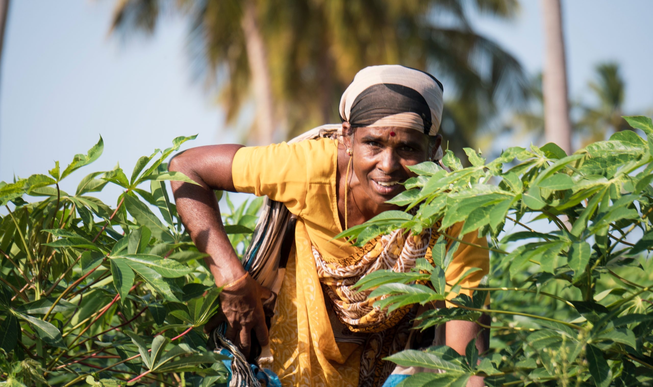 Affirma Capital to lead $47m investment round in Indian NBFC Belstar ...