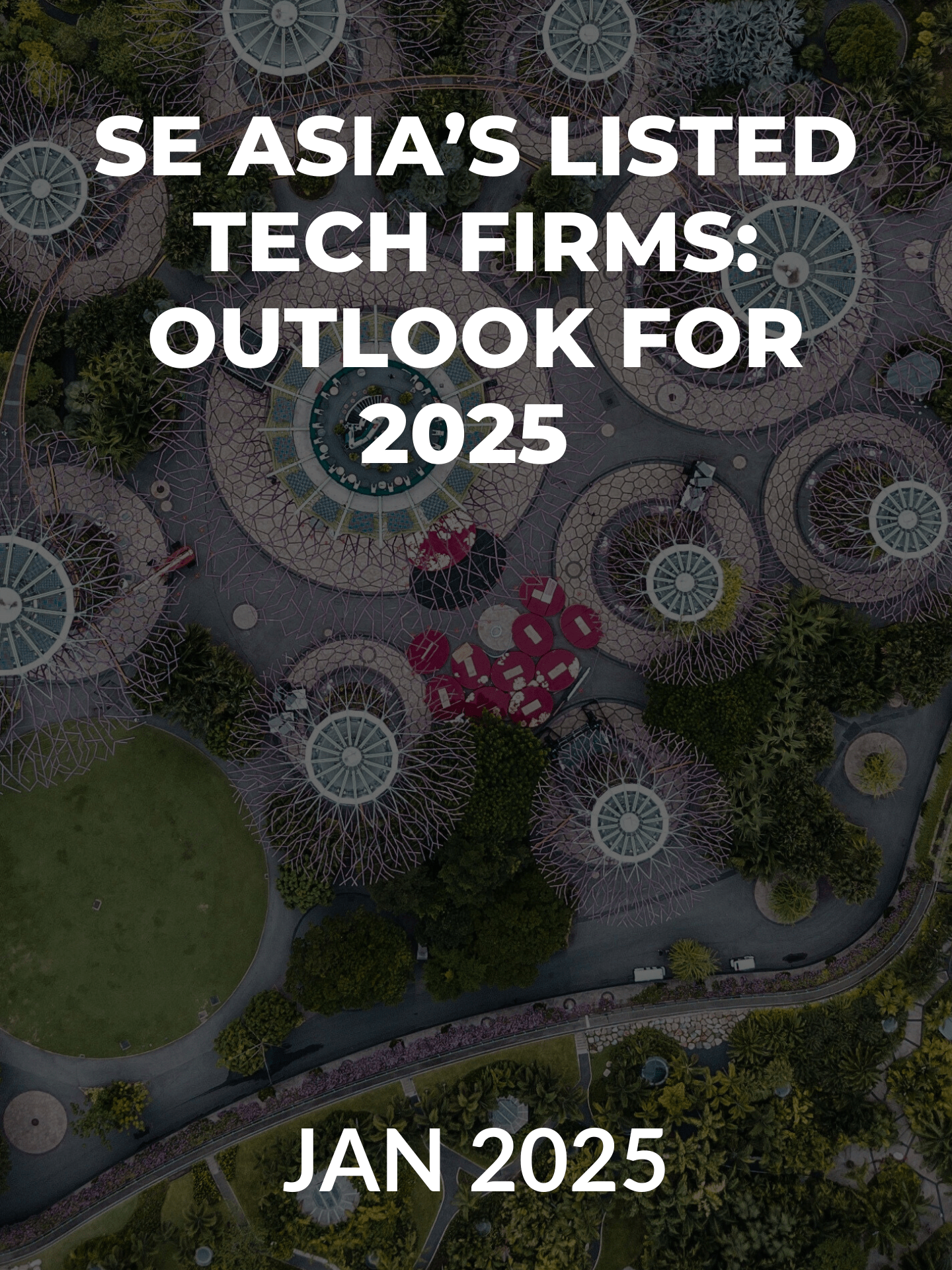 SE Asia’s Listed Tech Firms: Outlook for 2025