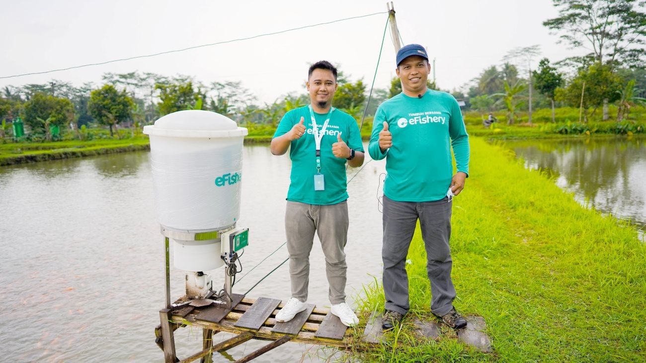 eFishery names new CEO; feeder business may stay, other divisions under ...